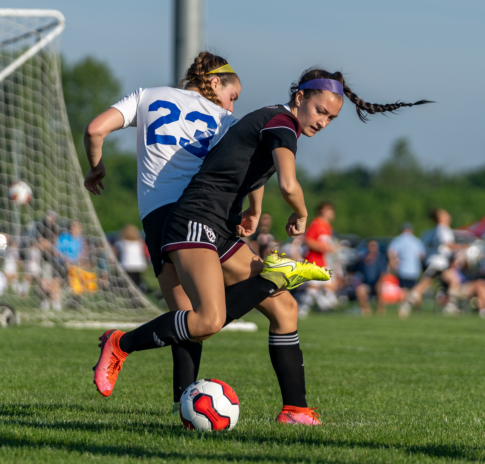 Sports Corner - Photography - FM Forums