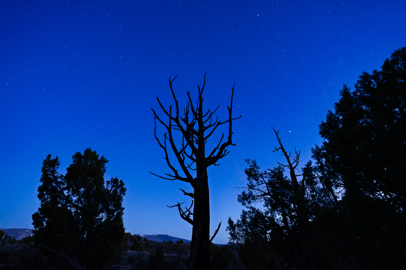Landscape Photographer - Photography - FM Forums