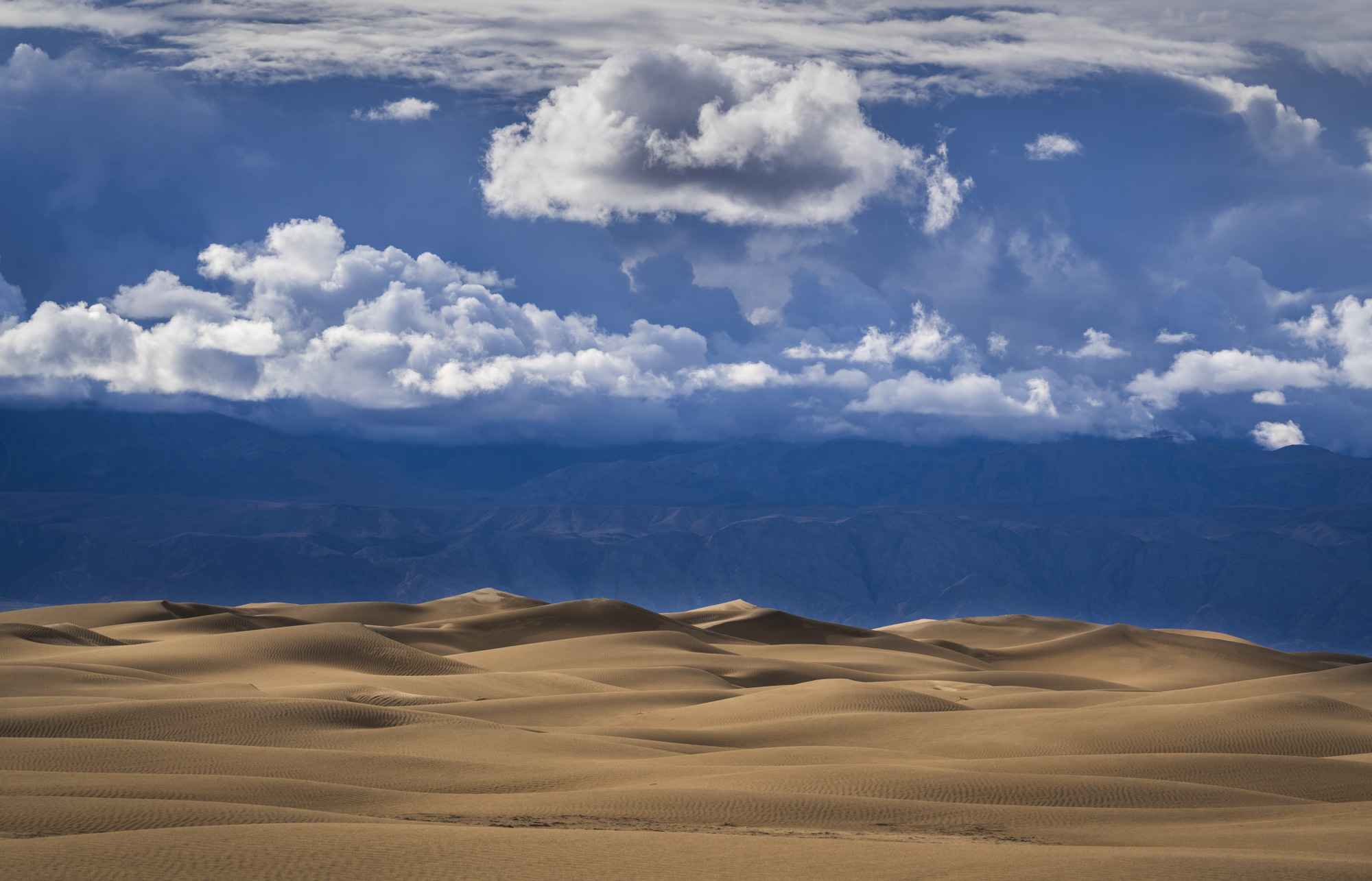 Sony FE Images Thread - Sony Forum - Photography - FM Forums