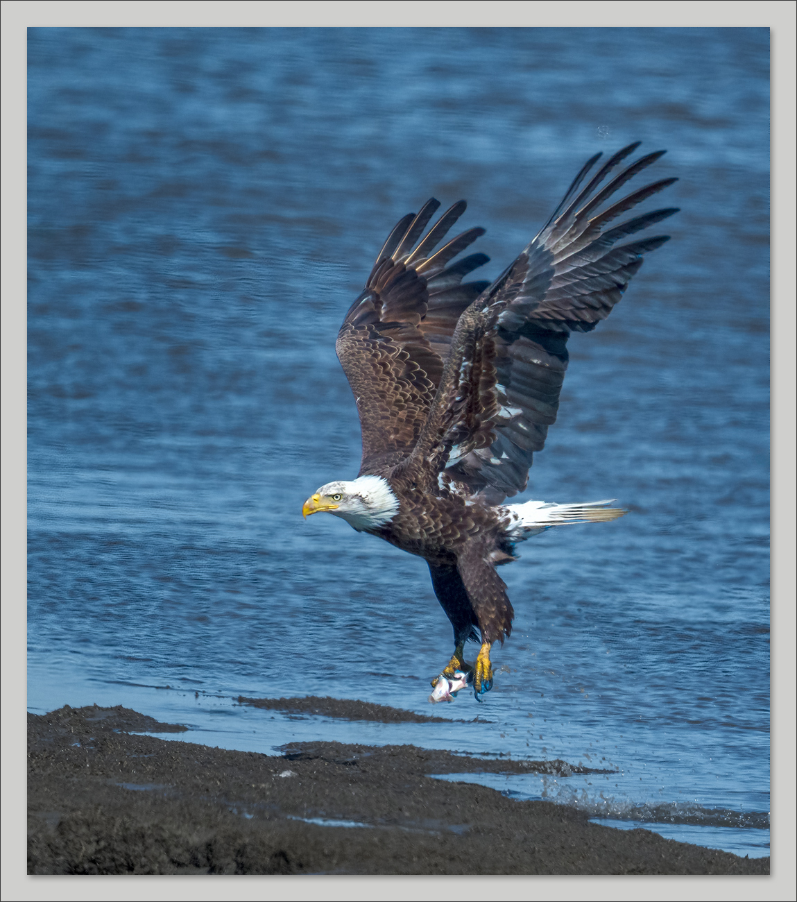 Nature & Wildlife - Photography - FM Forums