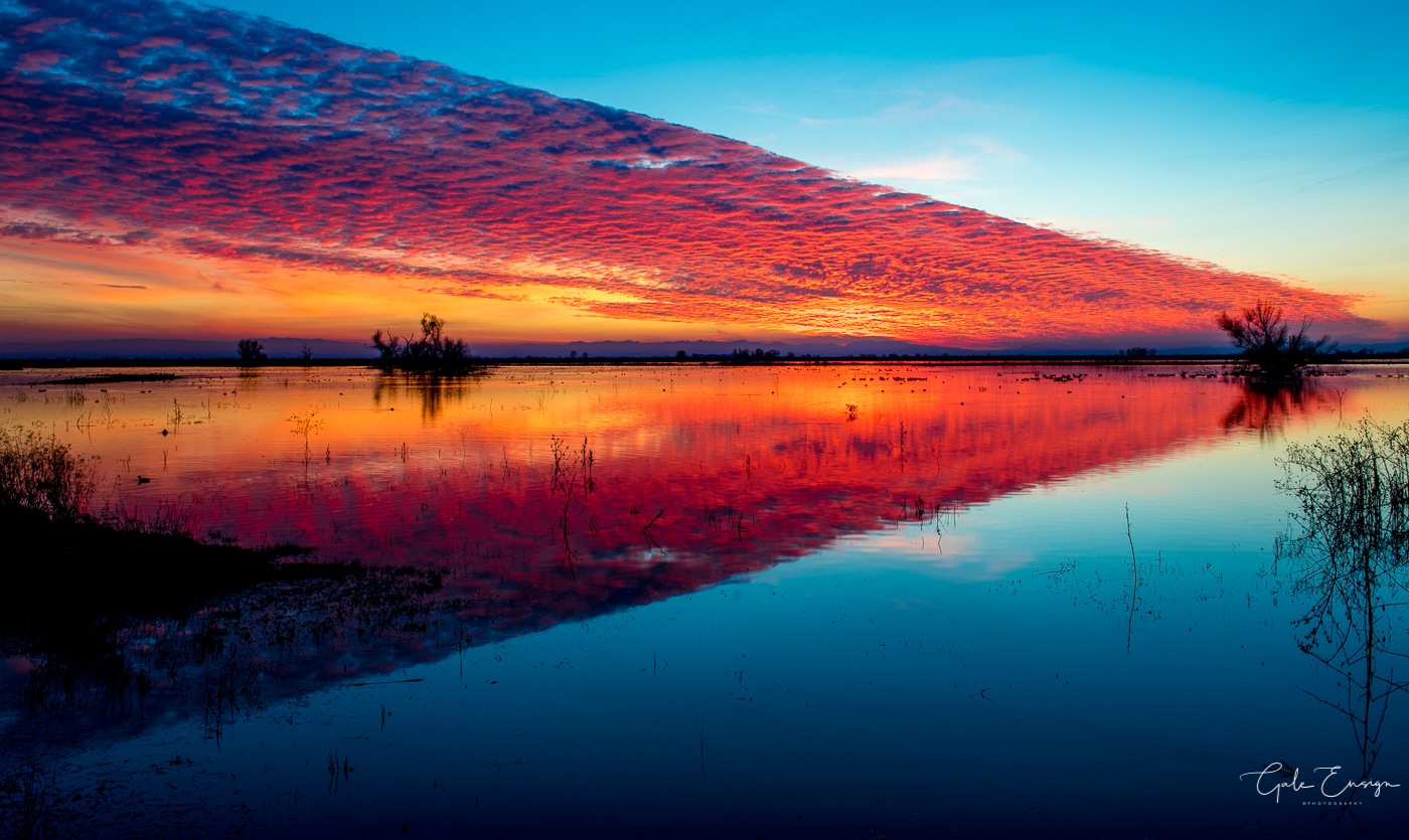 Landscape Photographer - Photography - FM Forums