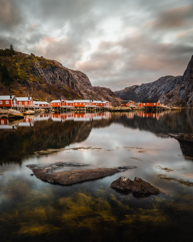 Photo Critique - Photography - FM Forums