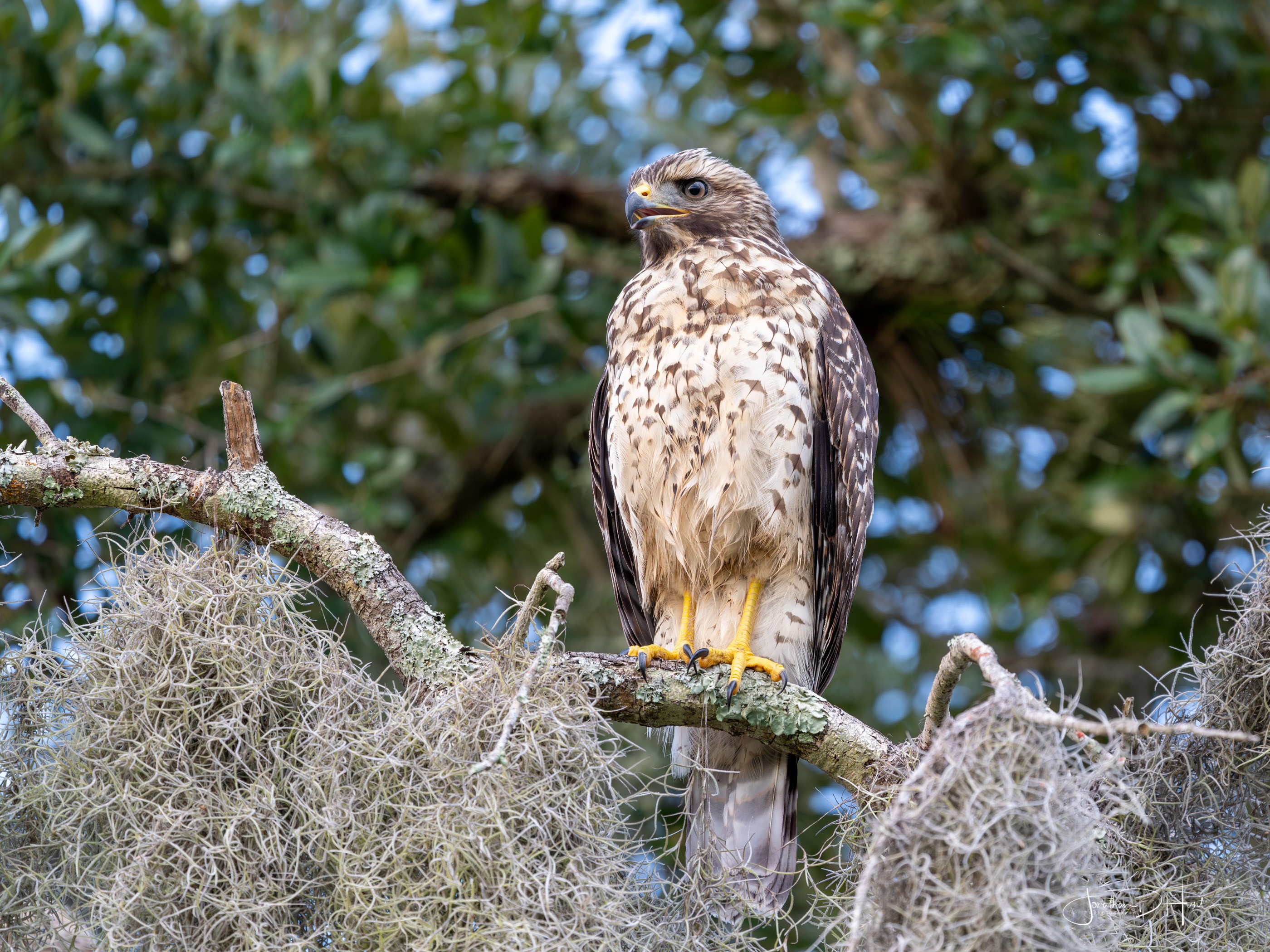 Nature & Wildlife - Photography - FM Forums