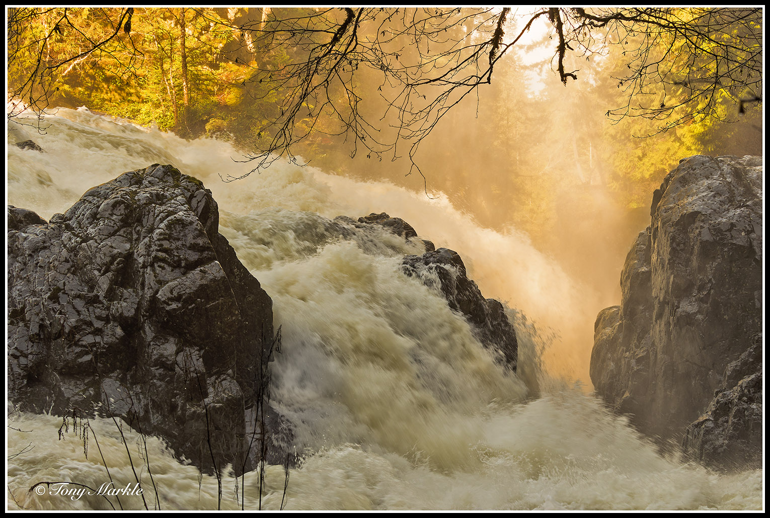 Landscape Photographer - Photography - FM Forums