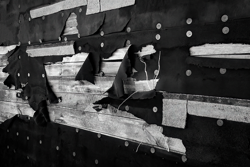 Black & White Vision - Photography - FM Forums
