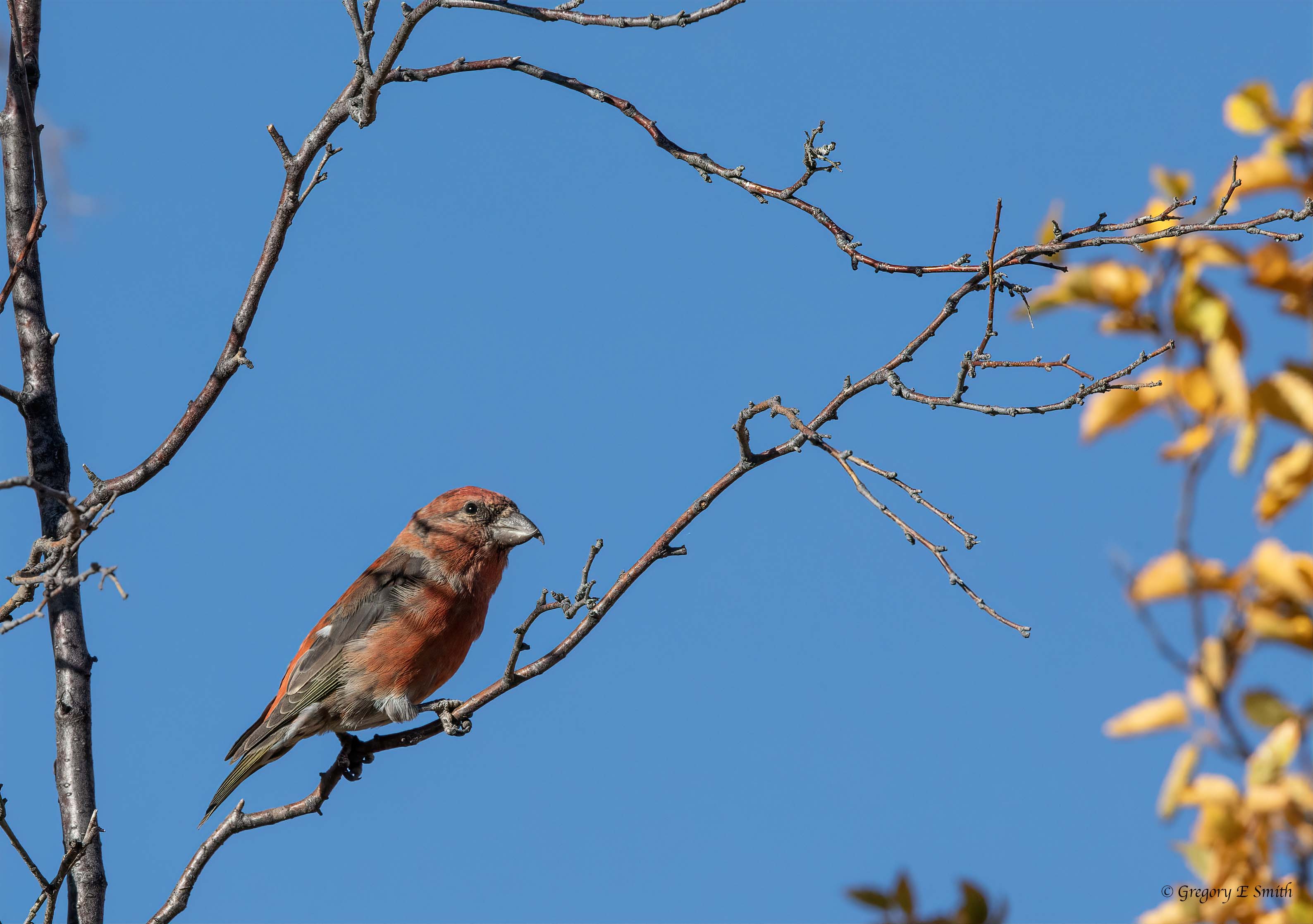 Nature & Wildlife - Photography - FM Forums