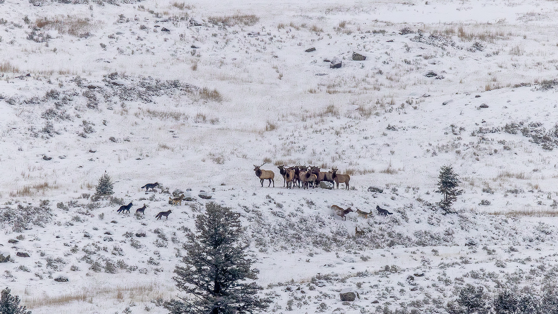 Driving from Houston to Calgary Oct 24th - Suggested Photo Stops? - FM ...