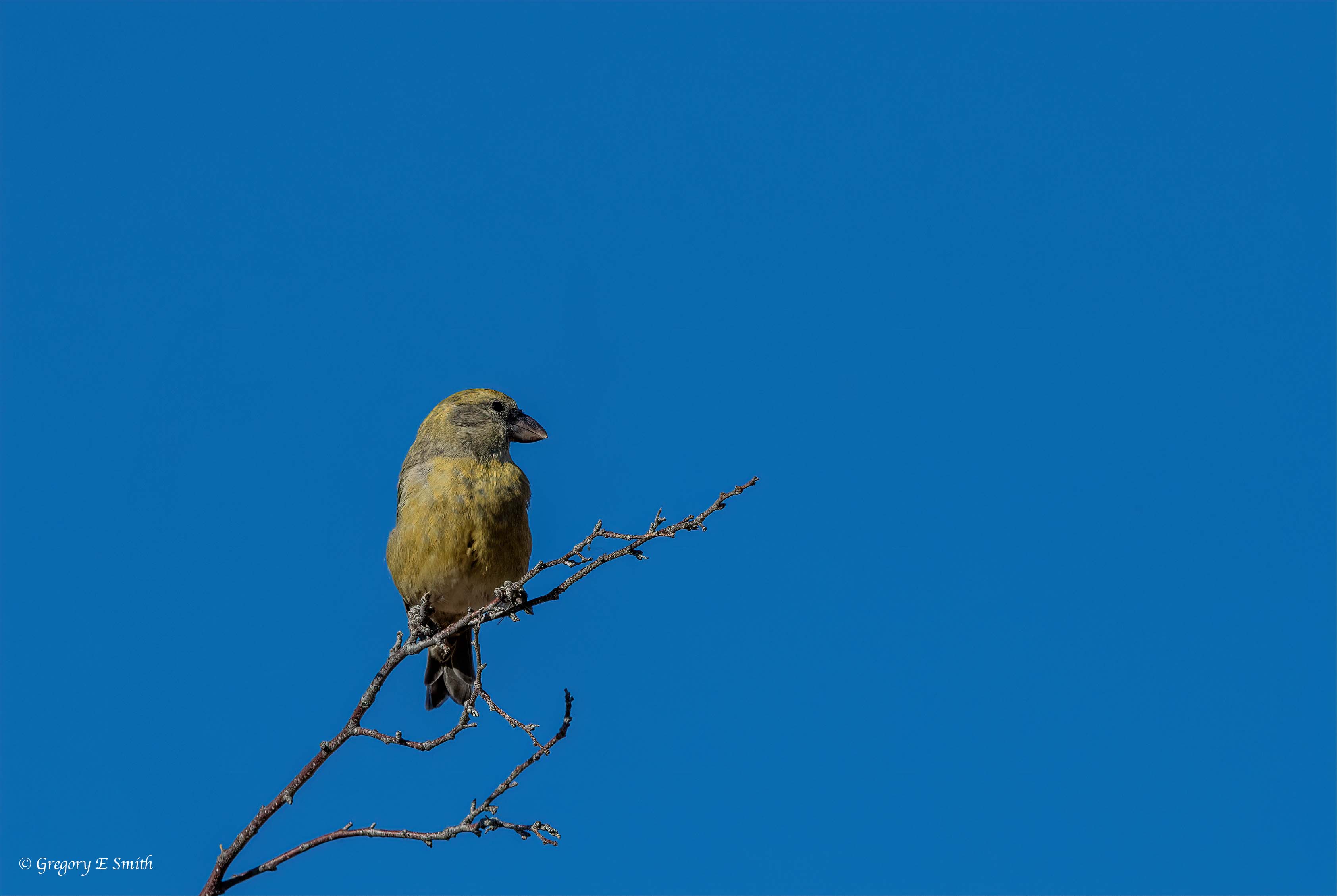 Nature & Wildlife - Photography - FM Forums
