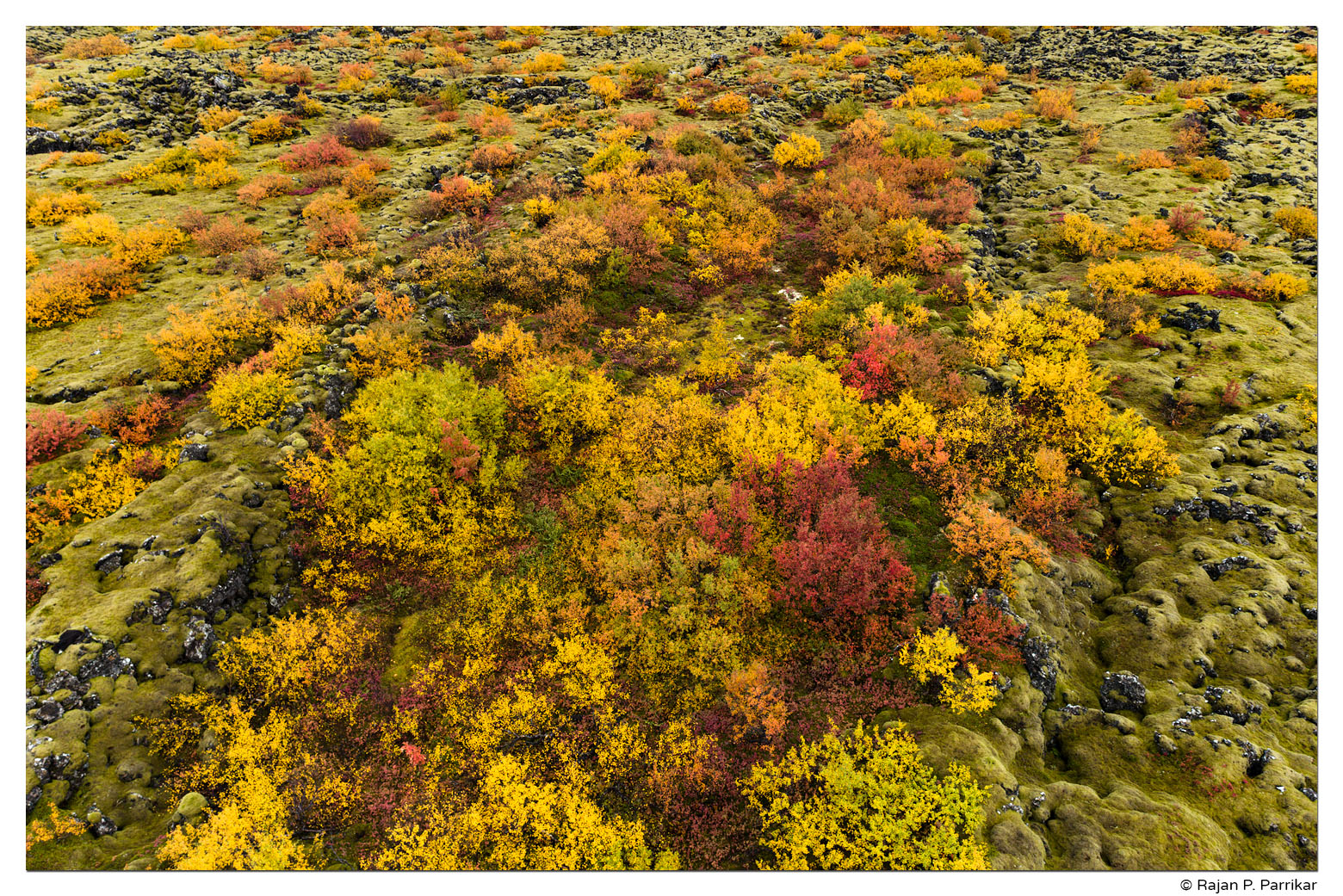 Landscape Photographer - Photography - FM Forums