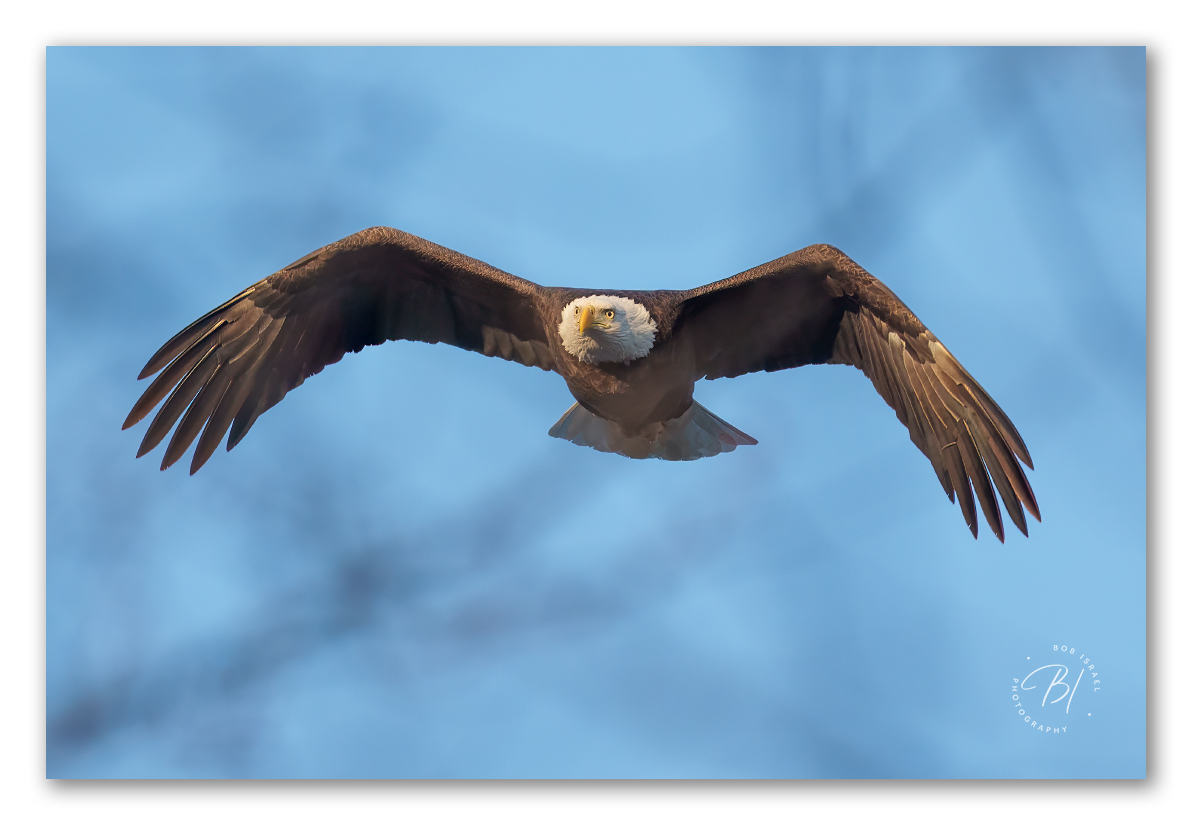 Sony FE Images Thread - Sony Forum - Photography - FM Forums