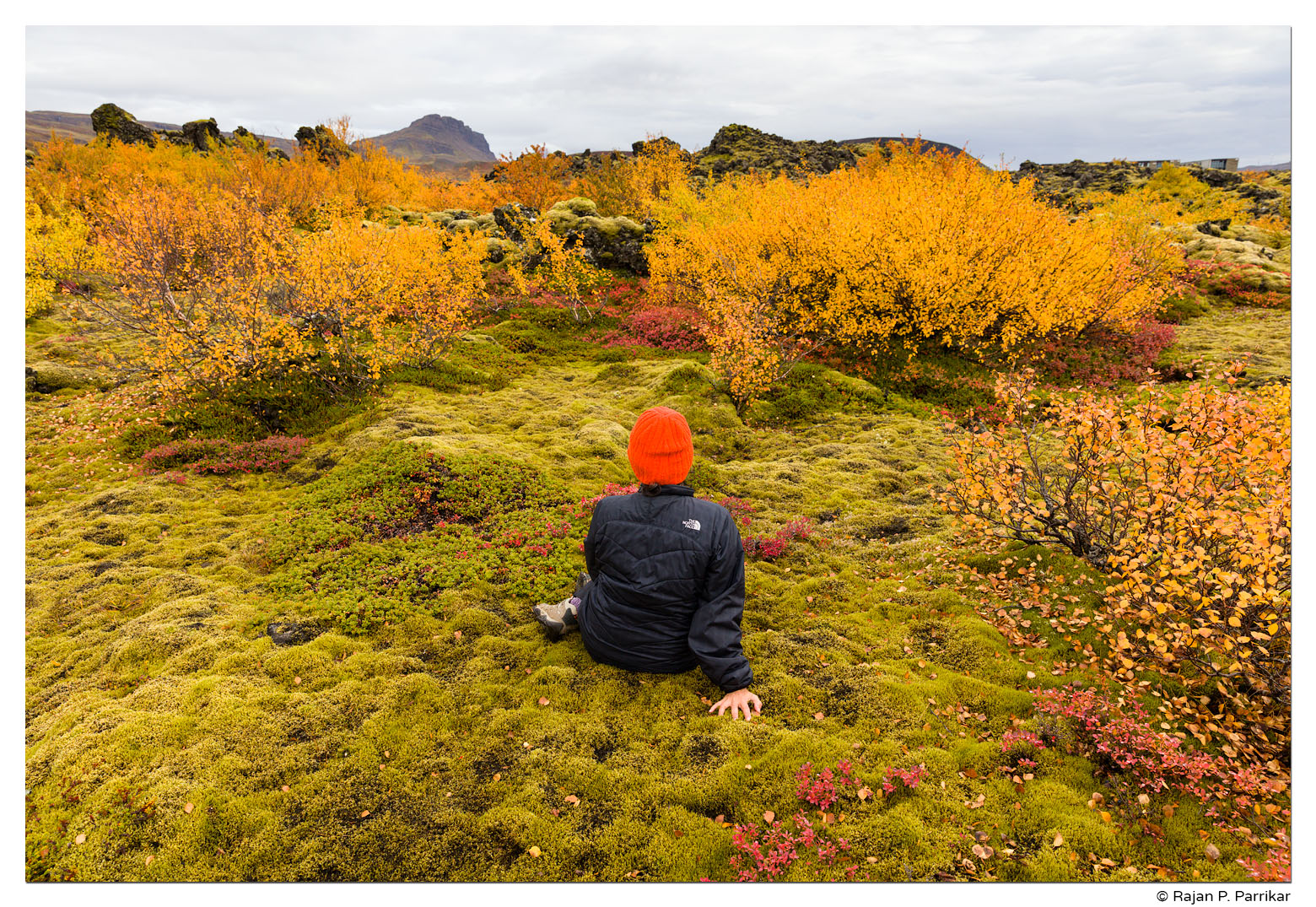 Landscape Photographer - Photography - FM Forums