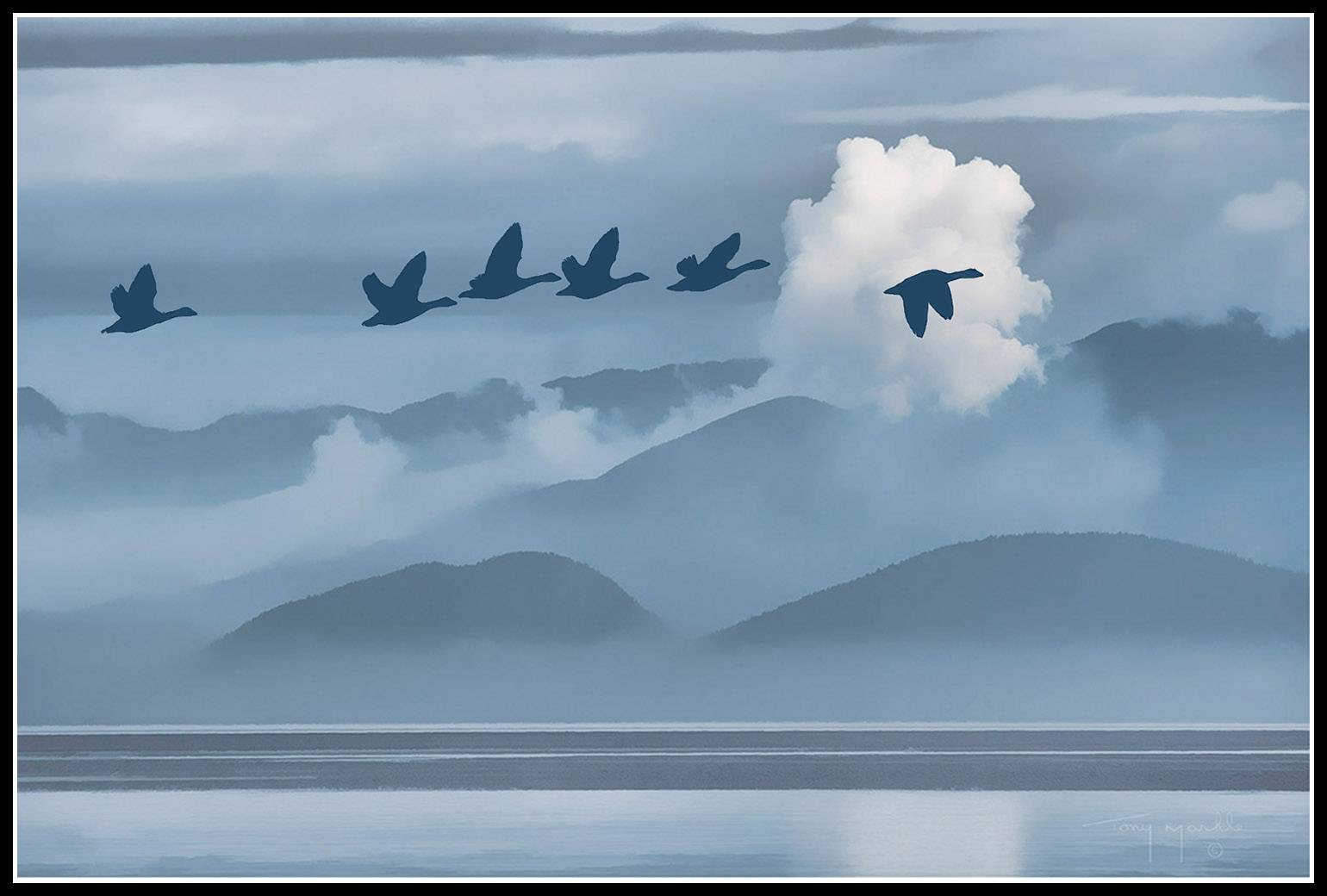 The Most Hated Bird in the World? - Part 4 - The End - FM Forums