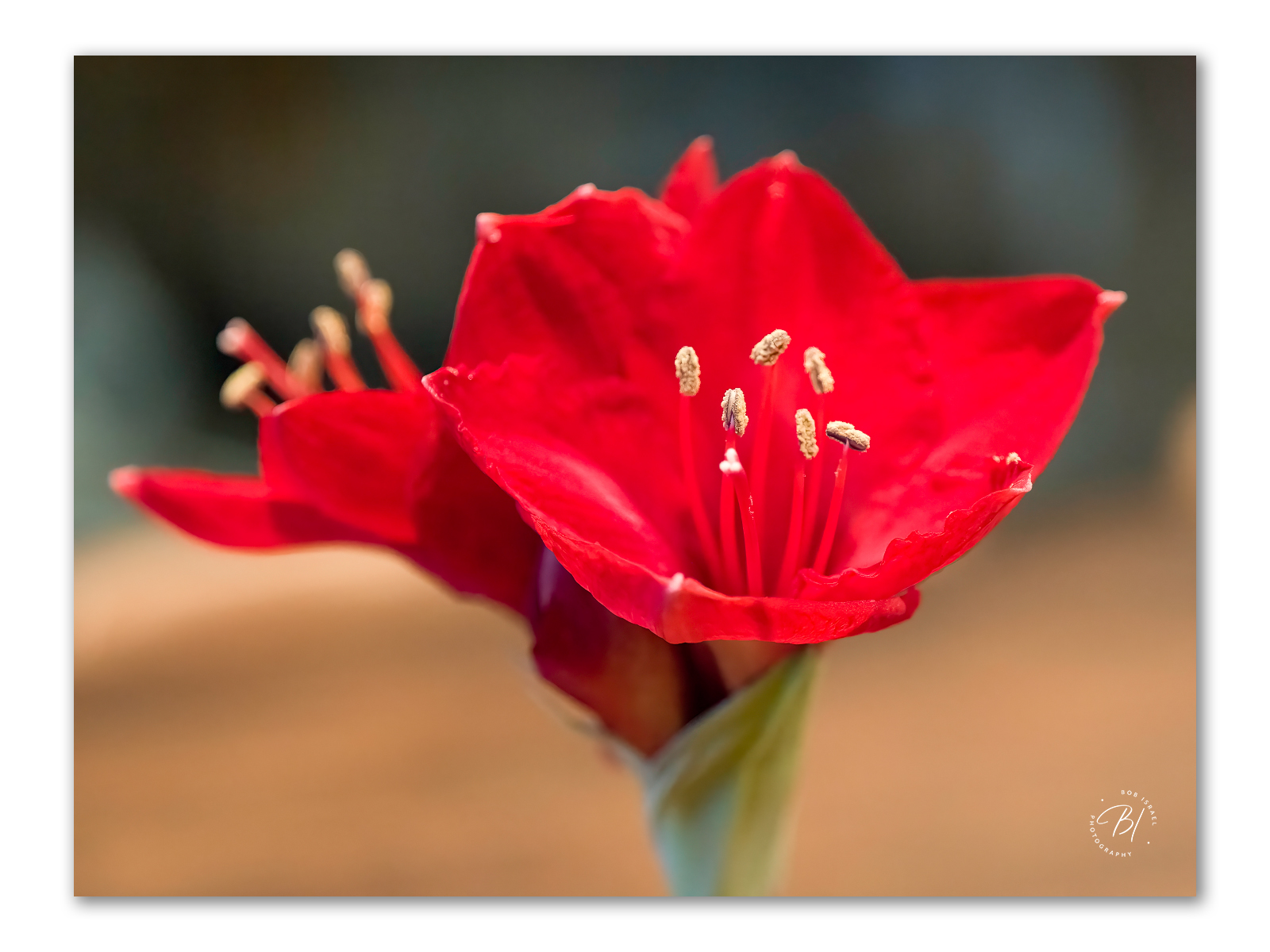 Medium Format Digital Images Thread - Leica & Alternative Gear ...