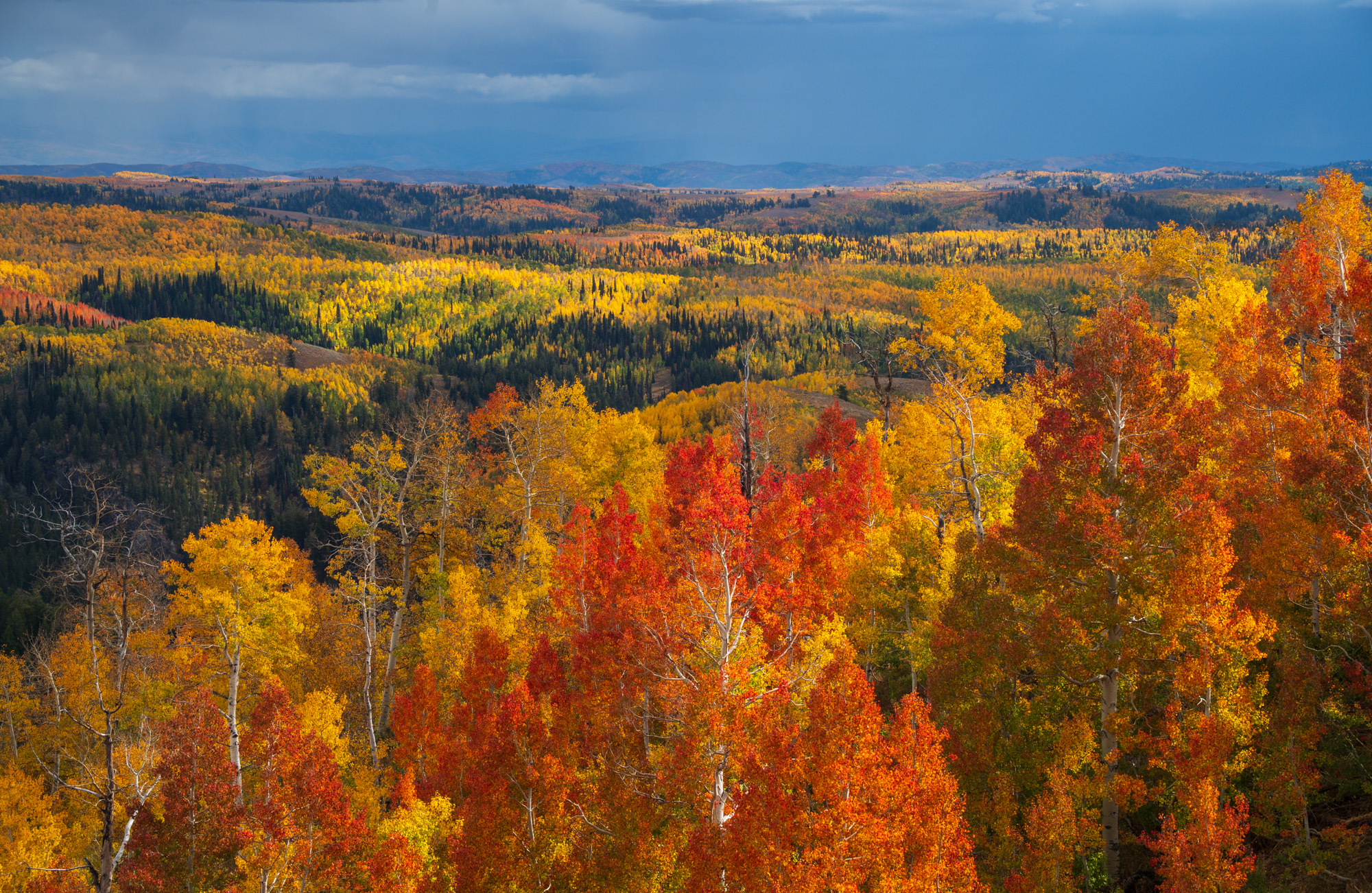 Utah Autumn Enchantment - Landscape Photographer - Photography - FM Forums