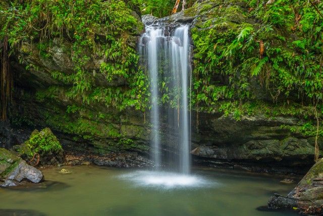 El Yunque Waterfalls - FM Forums