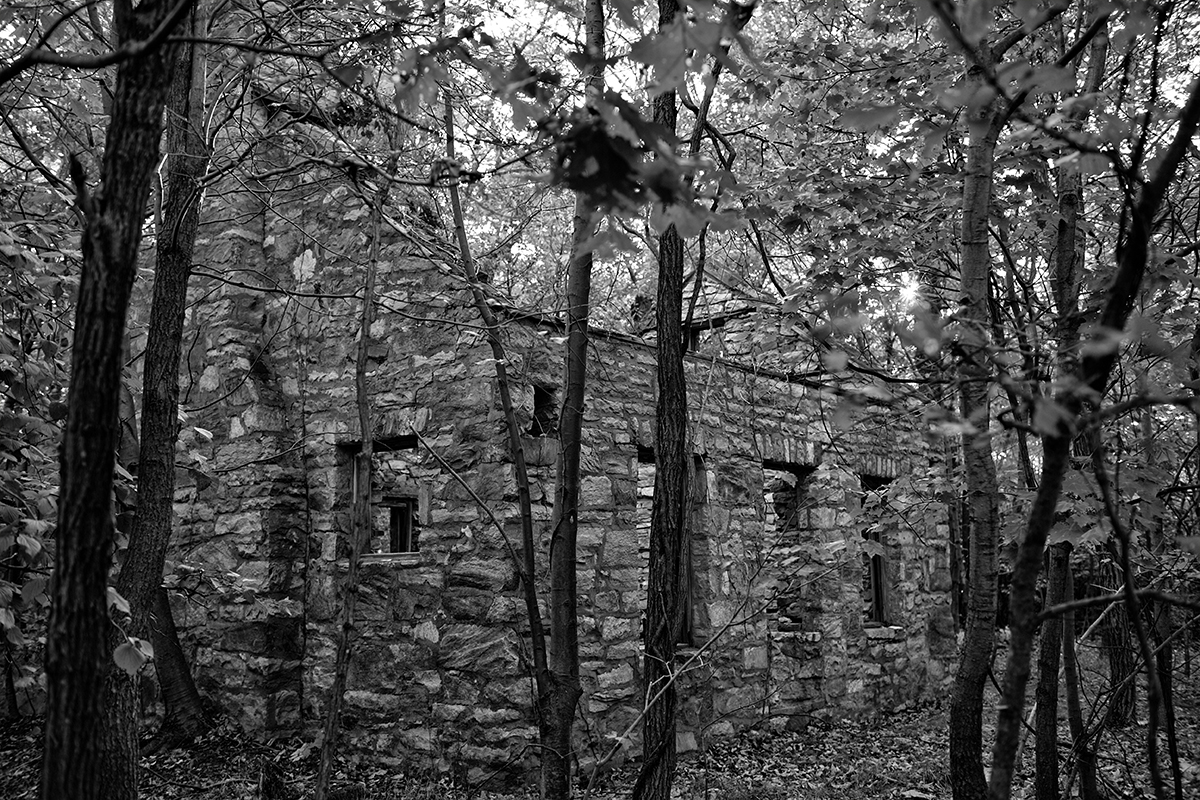 Black & White Vision - Photography - FM Forums