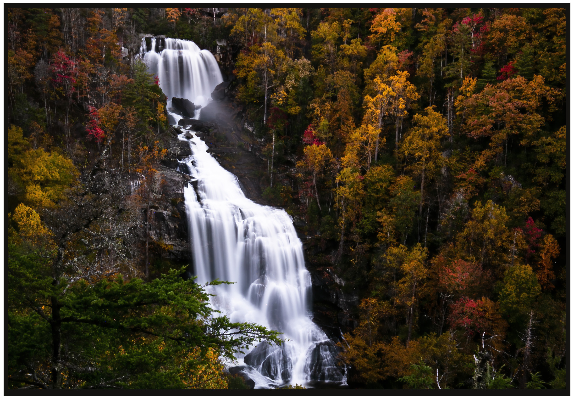 Fall in NC-2022 - FM Forums