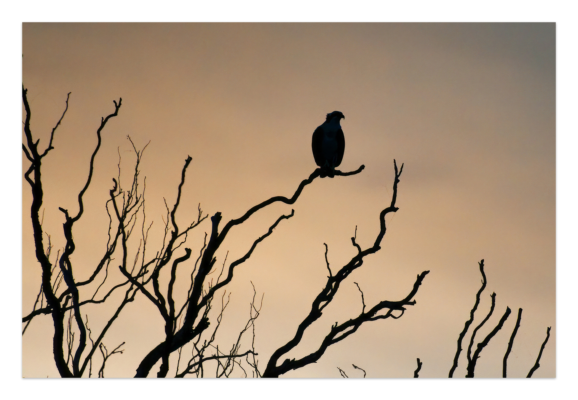 Sunrise at the lagoon - Nature & Wildlife - Photography - FM Forums