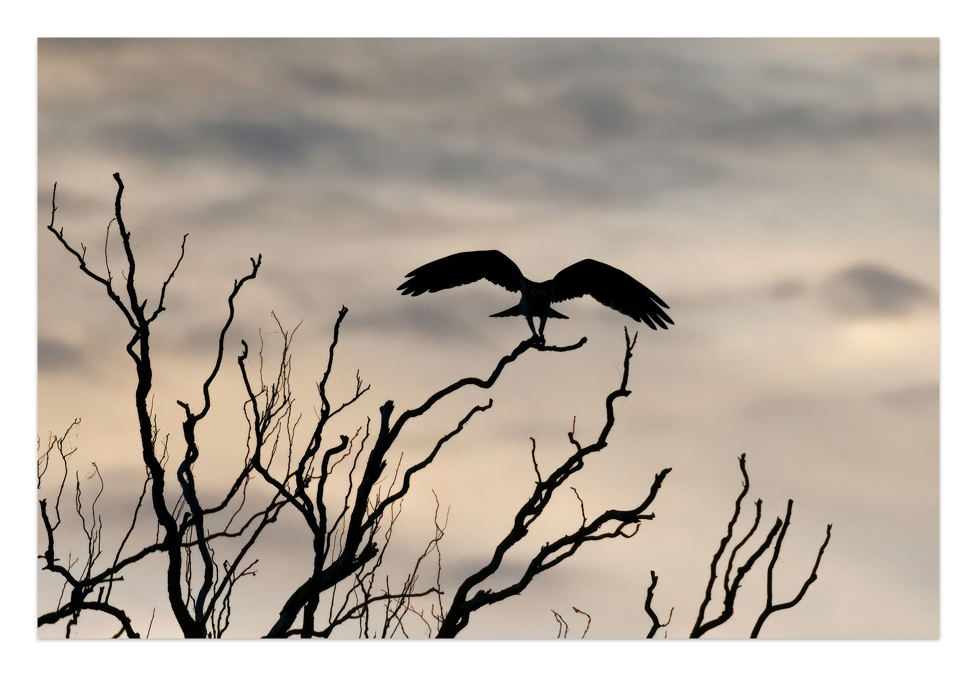 Sunrise at the lagoon - Nature & Wildlife - Photography - FM Forums