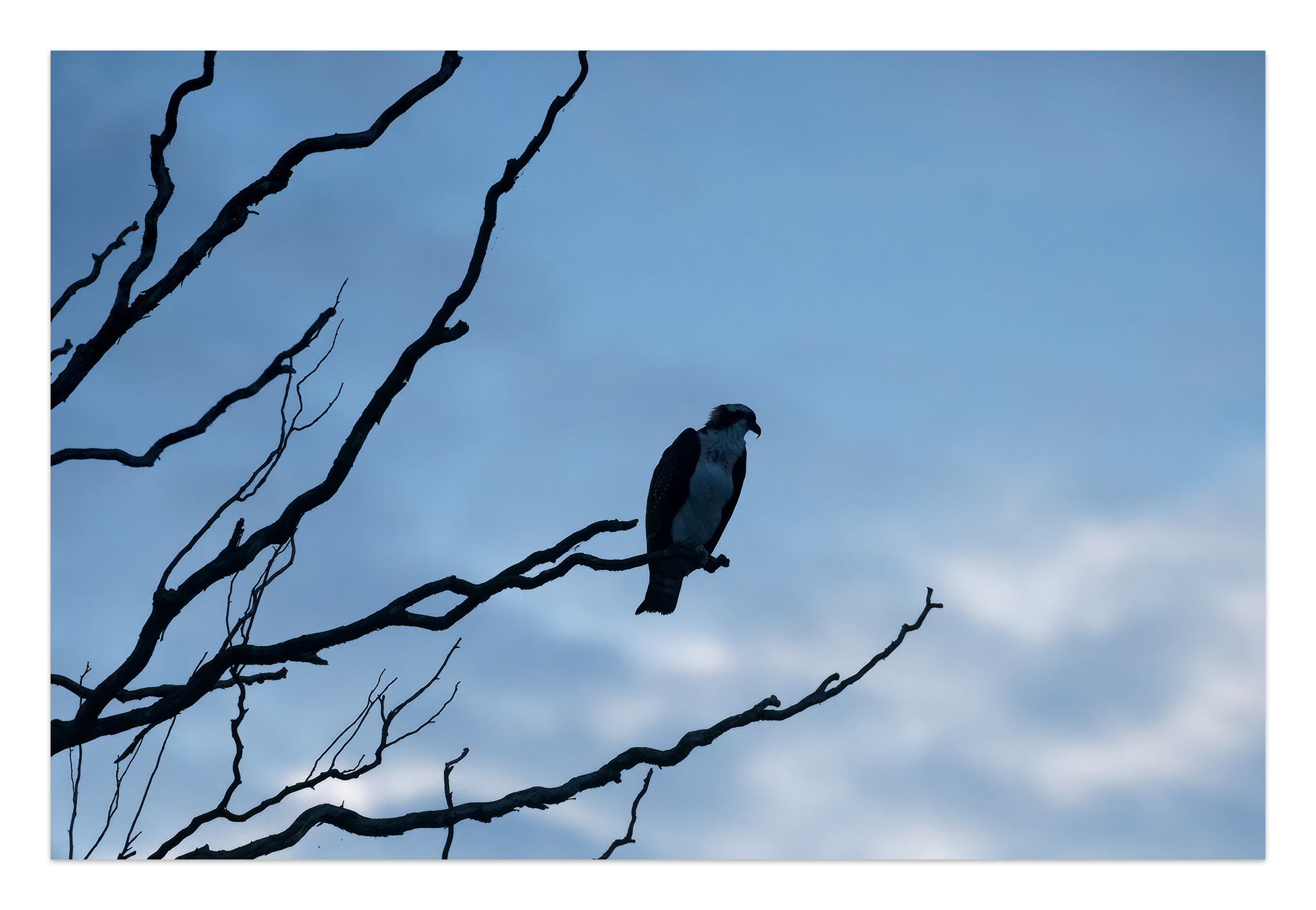 Sunrise at the lagoon - Nature & Wildlife - Photography - FM Forums