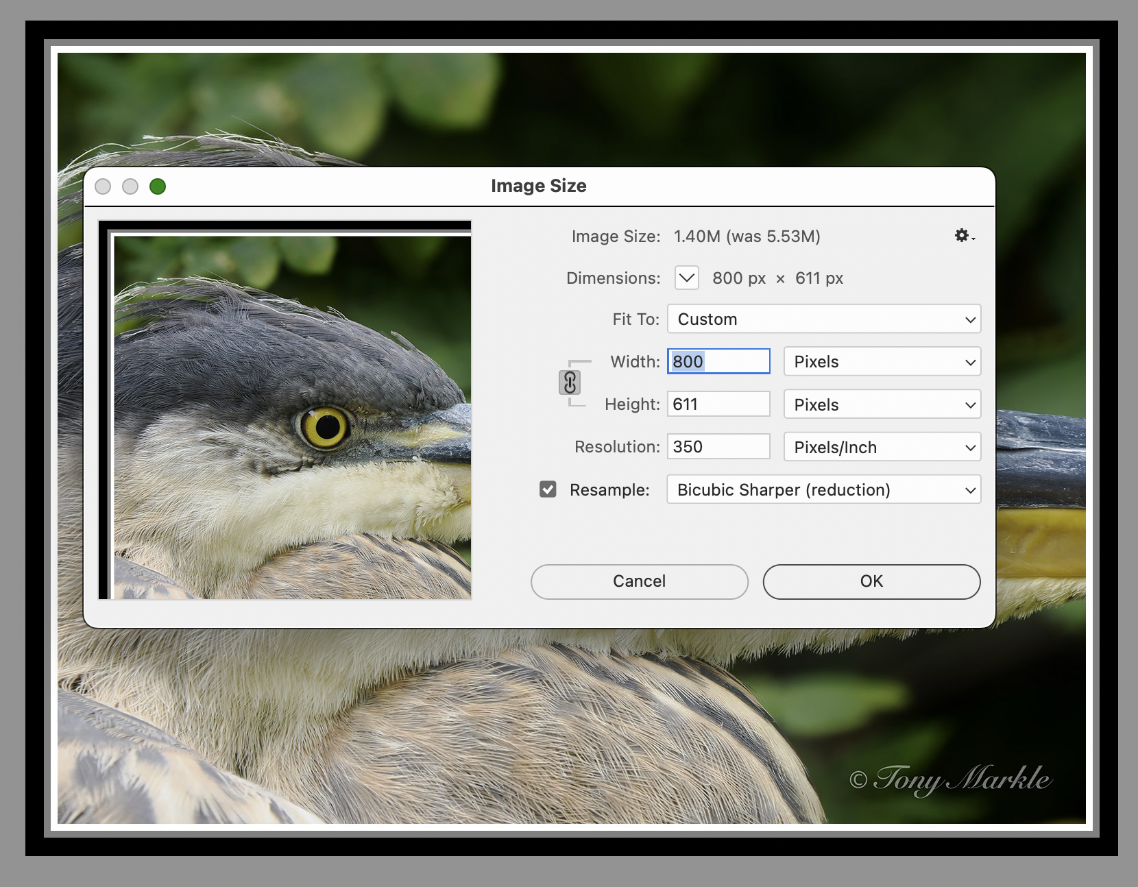 Resizing & Pixelation - Post-processing & Printing - Photography - FM Forums