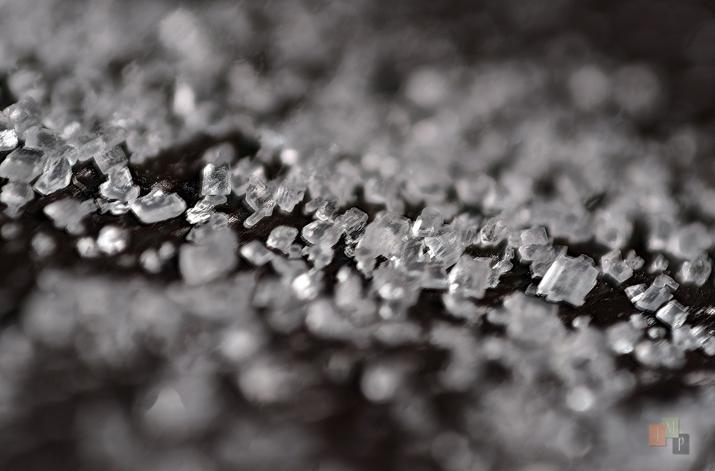 Macro & Still Life - Photography - FM Forums