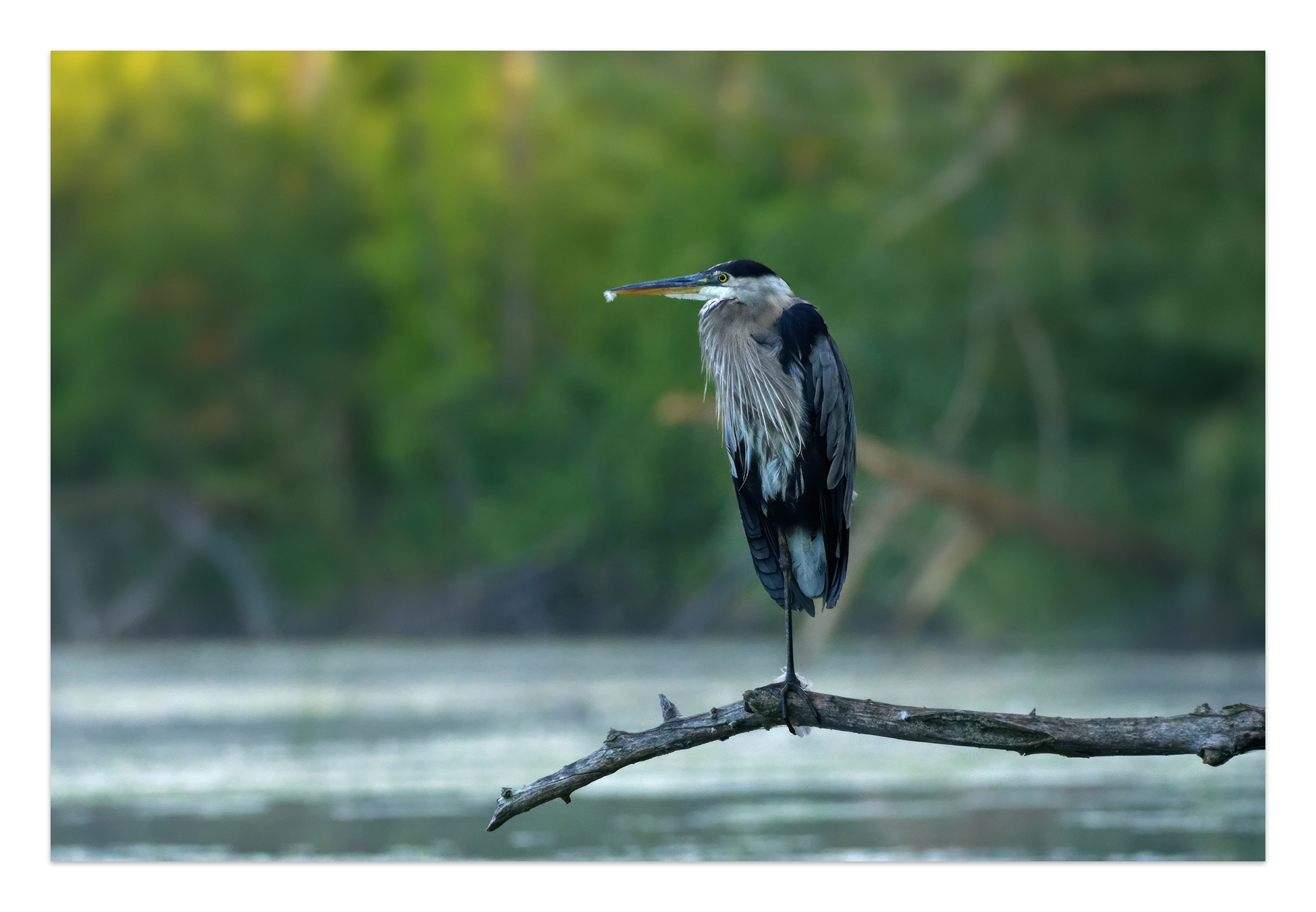 Sunrise at the lagoon - Nature & Wildlife - Photography - FM Forums