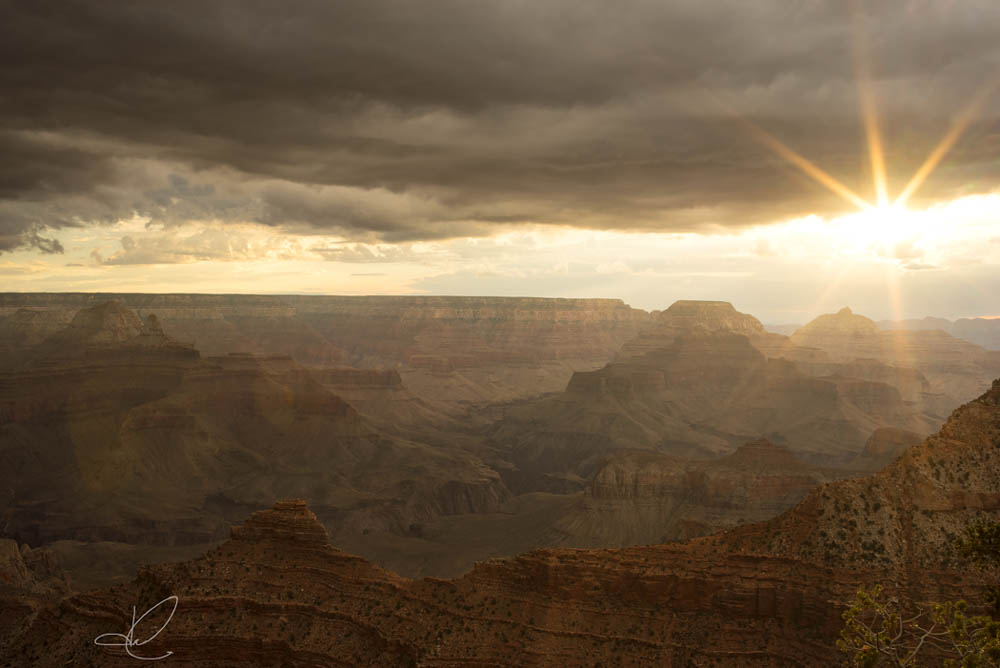 Sony Forum - Photography - FM Forums
