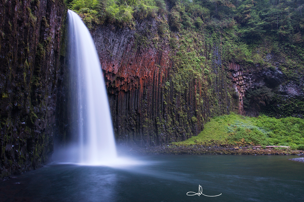 Sony Forum - Photography - FM Forums