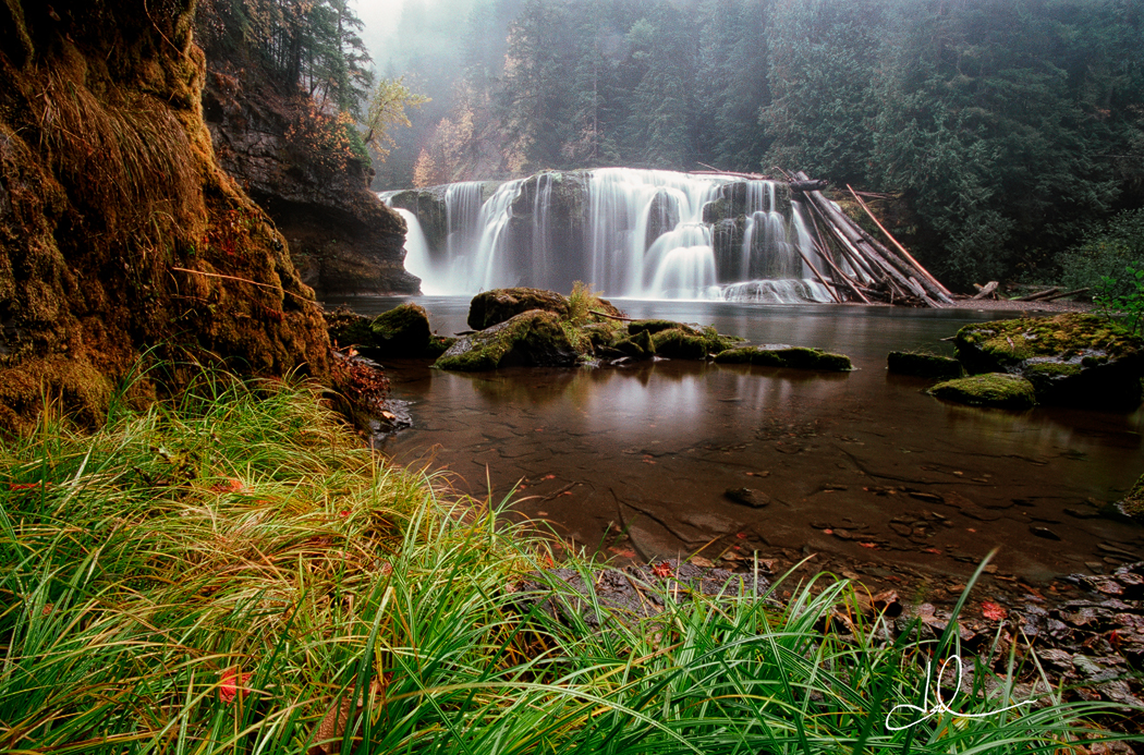 Sony Forum - Photography - FM Forums