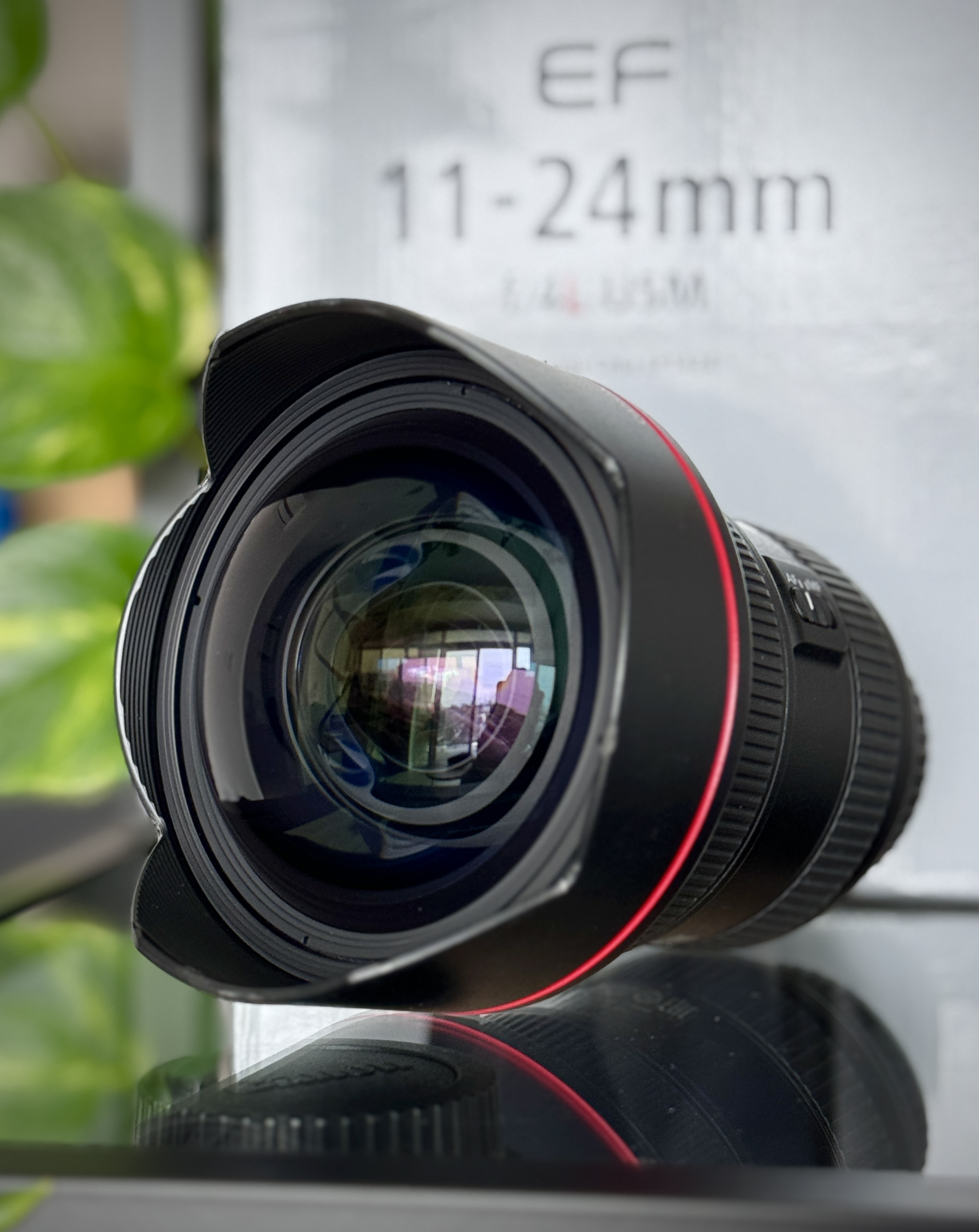 Canon EF 11-24 f/4L + EF/RF ND Filter Adapter - FM Forums