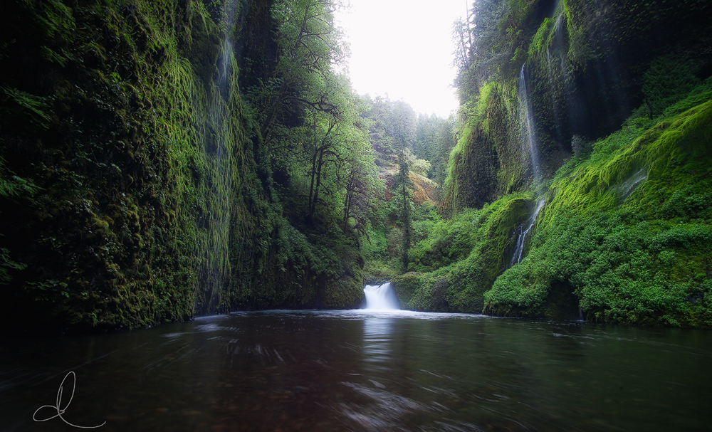 Sony Forum - Photography - FM Forums