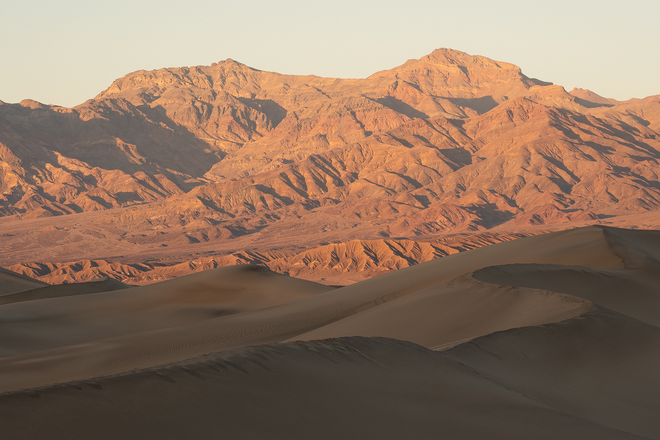 Sony Forum - Photography - FM Forums