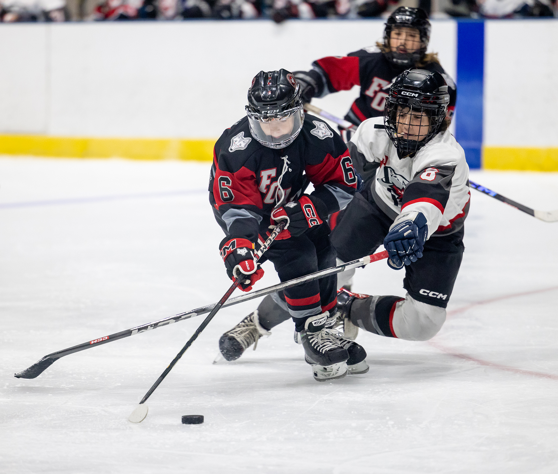Sports Corner - Photography - FM Forums