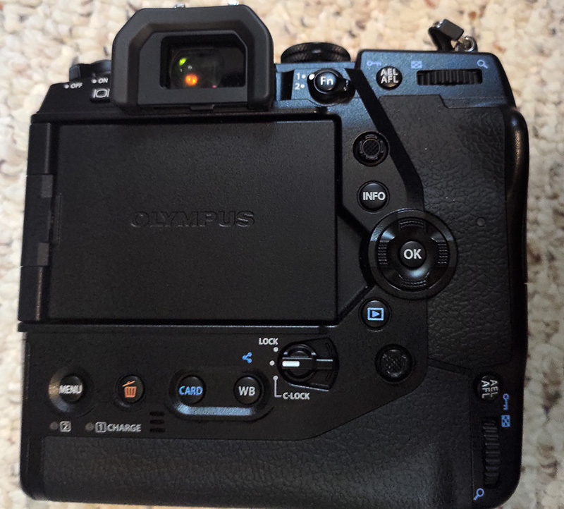 Withdrawn: /Olympus EM1-X...487 actuations/ I would say mint condition ...
