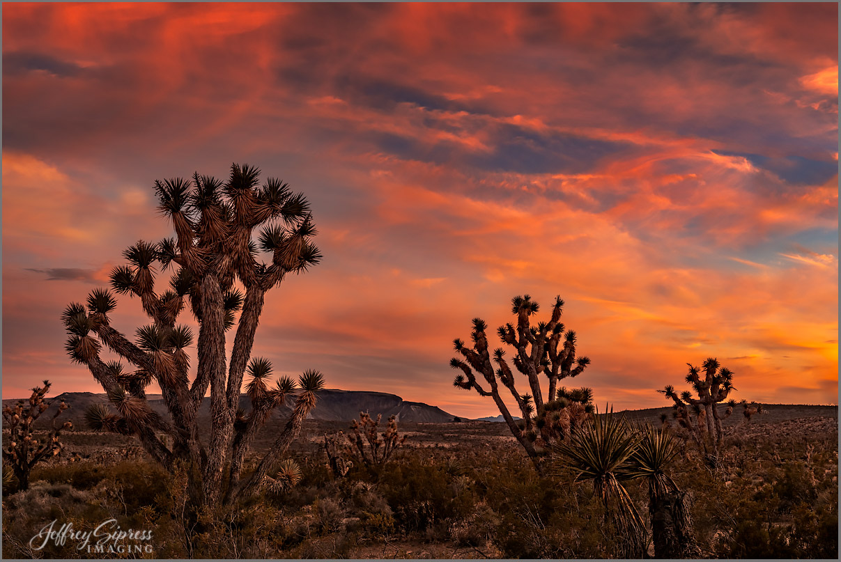 Landscape Photographer - Photography - FM Forums