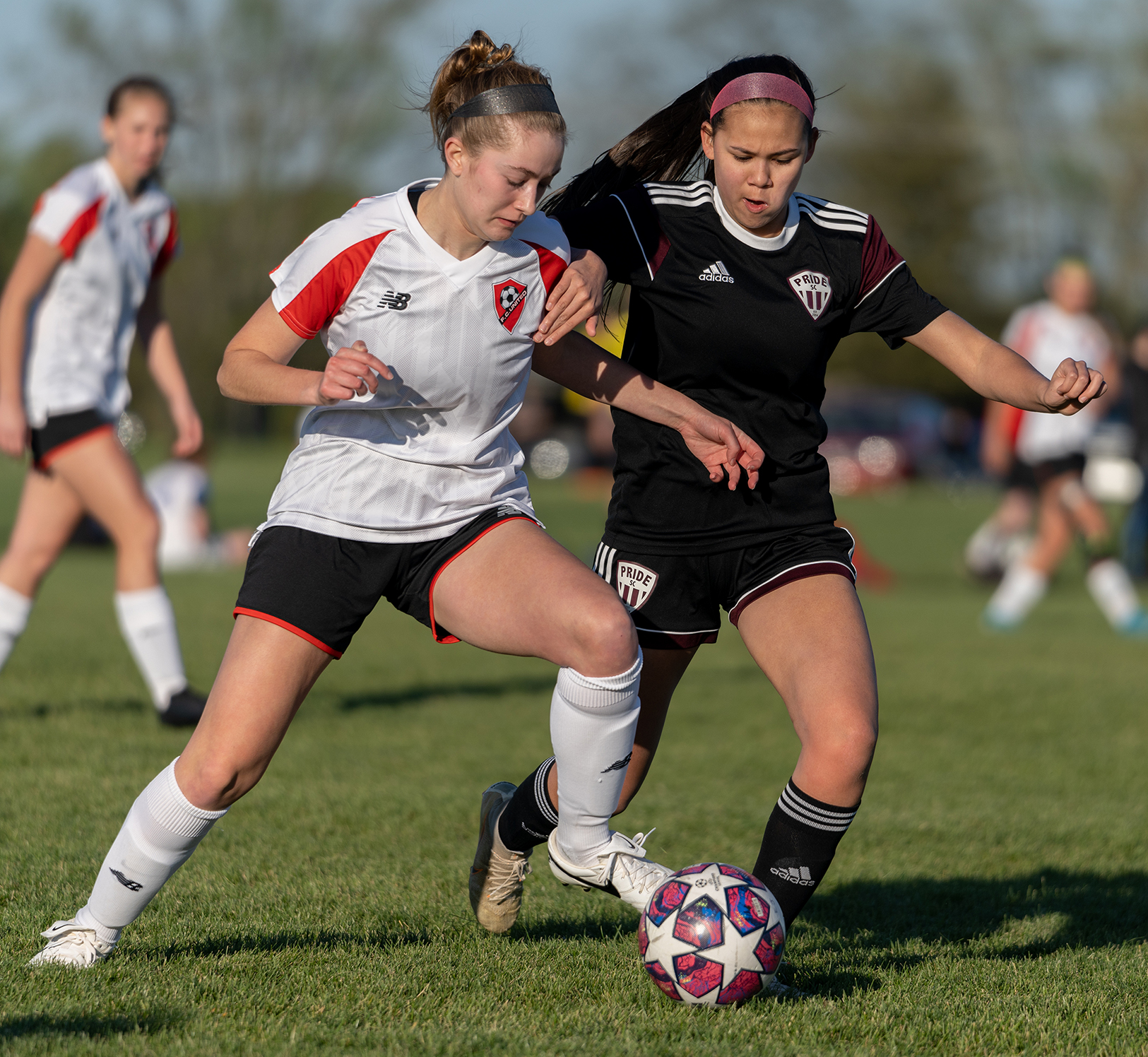 Sports Corner - Photography - FM Forums