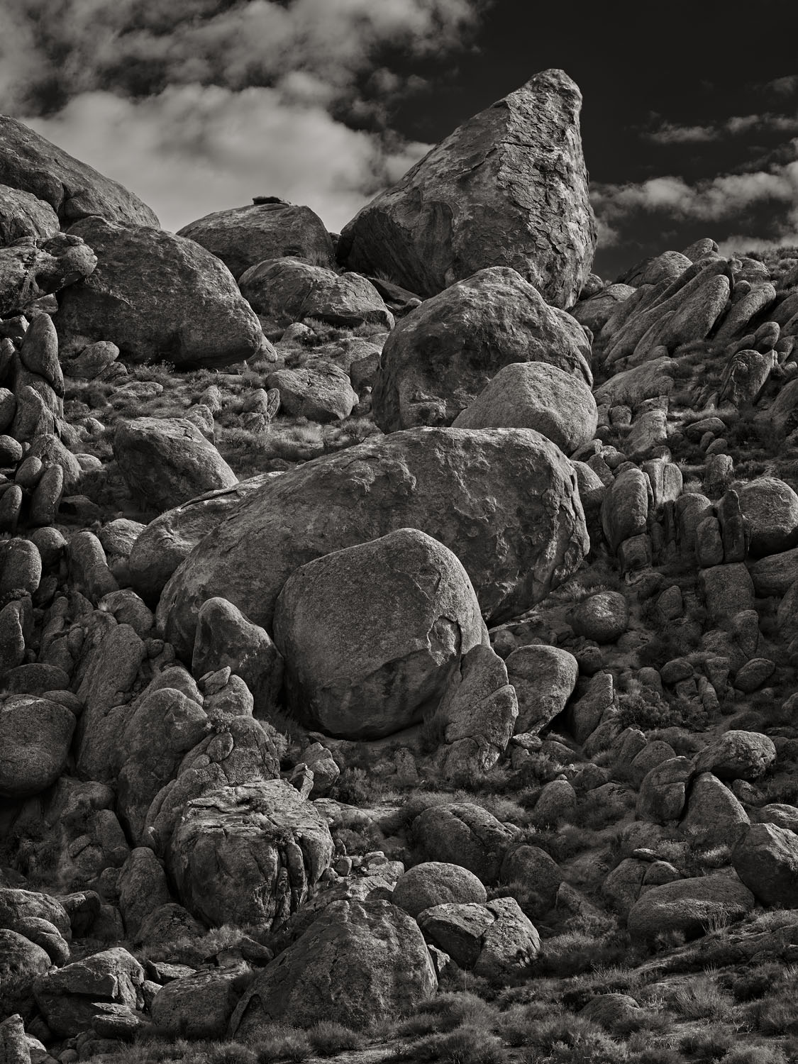 Black & White Vision - Photography - FM Forums